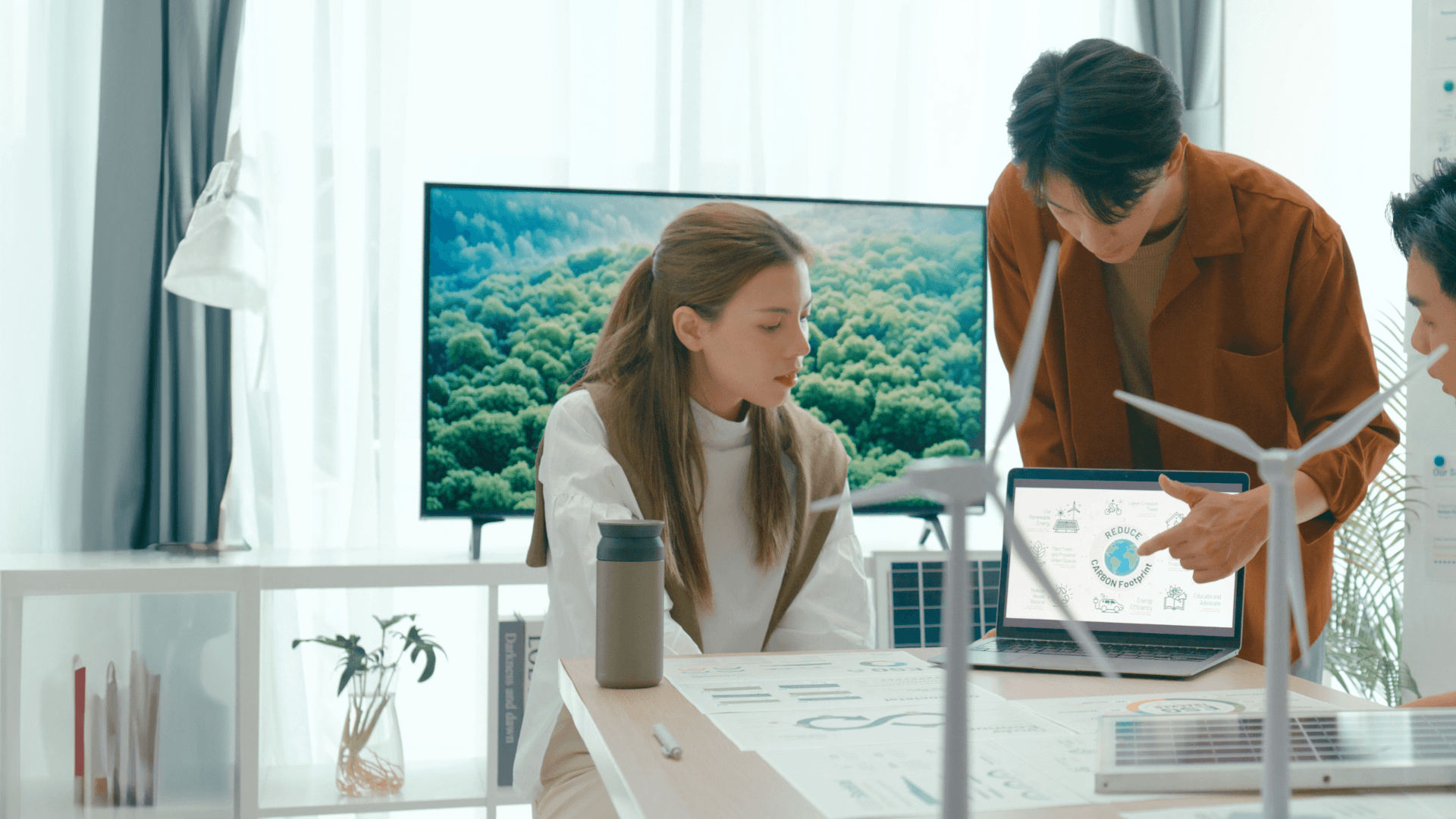 Nexford | Our programs